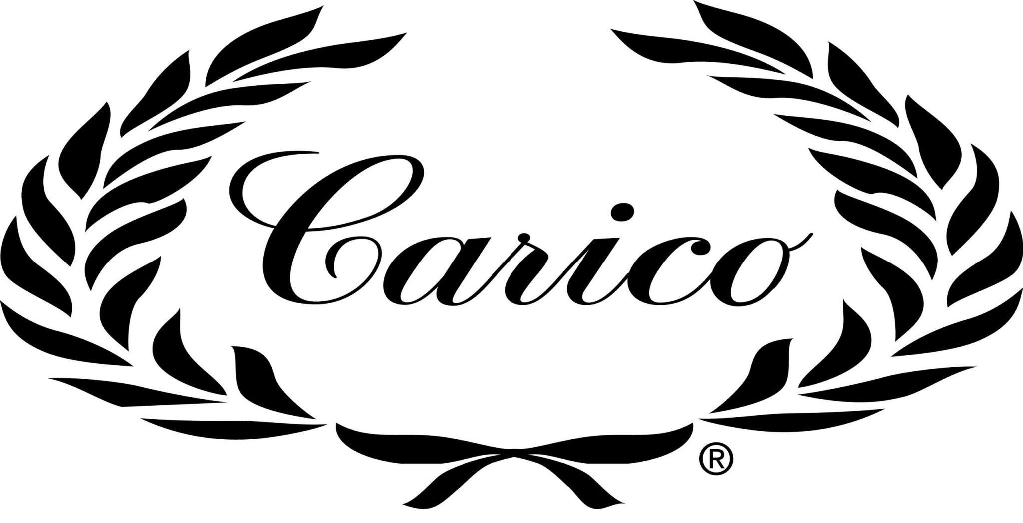 Carico's Whole House Water Filtration - MSK Marketing Carico Center